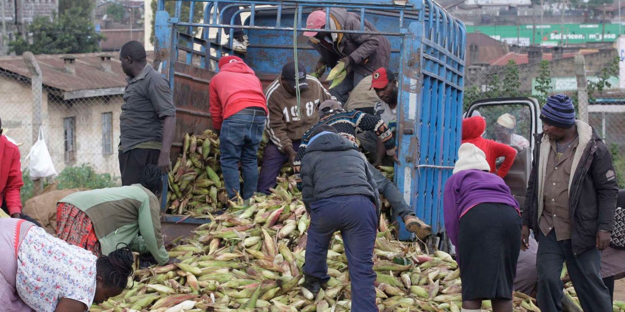 Will the future generation be food secure? - Business Daily