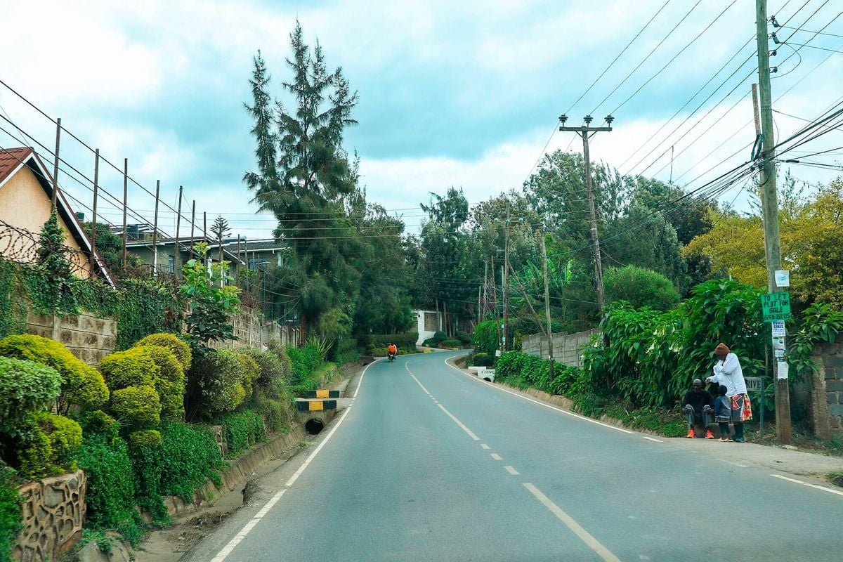 How Kerarapon has become Karen’s affordable option - Business Daily