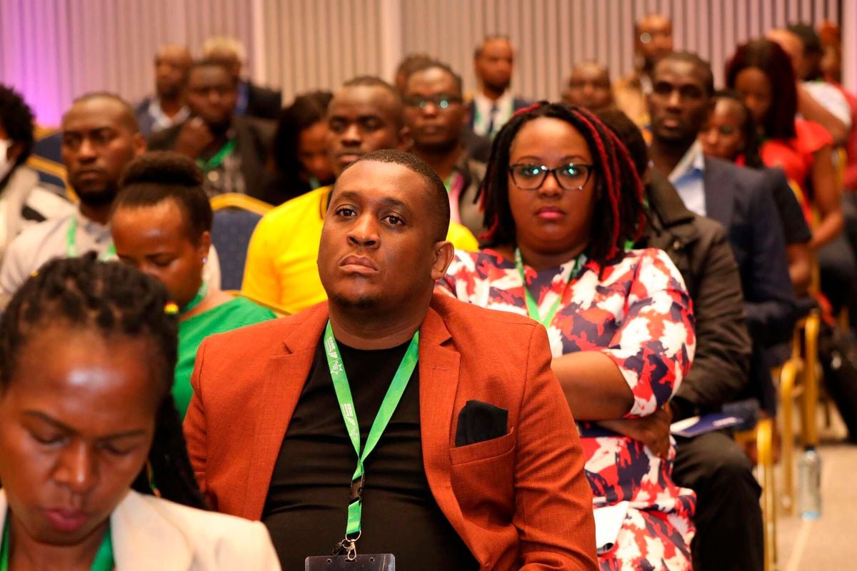 Climate investment firm eyes funding from pension managers - Business Daily