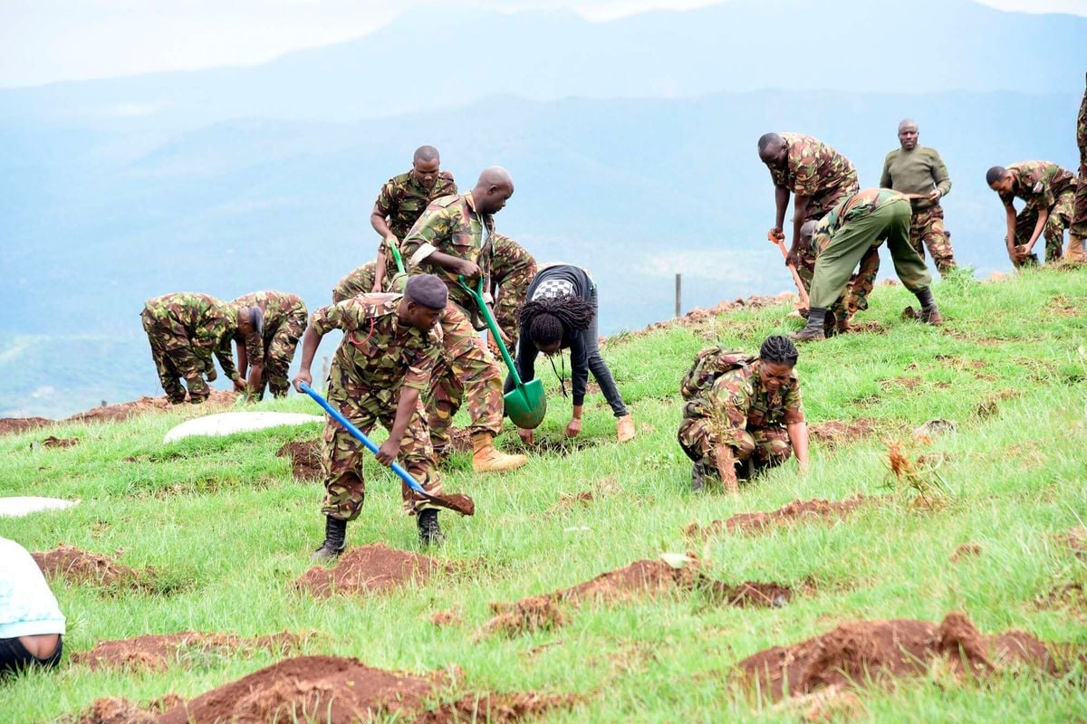 How the Environmental Soldier Programme redefines KDF’s role - Business ...