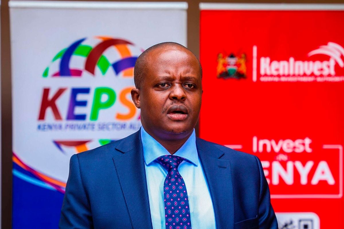 17 counties fail to attract any investment since inception - Business Daily