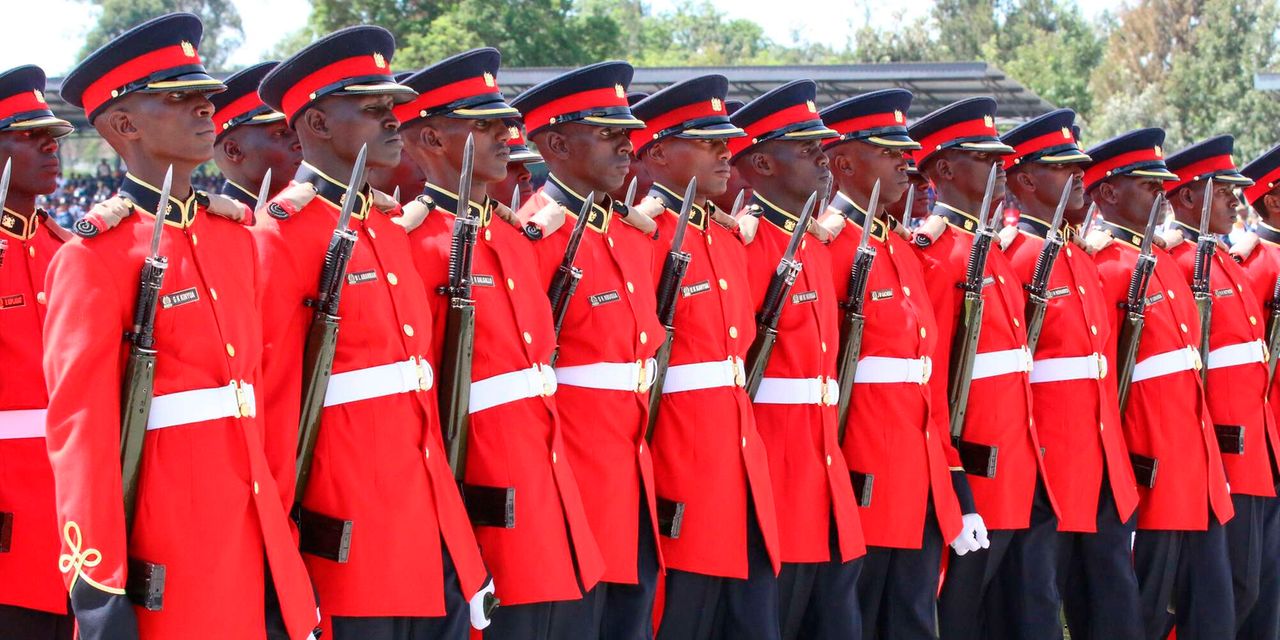 Kenya, Egypt partner to boost medical services for military officers ...