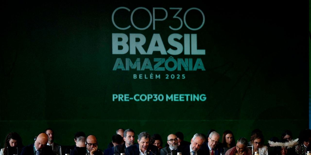 Why COP30 summit matters to Kenya - Business Daily