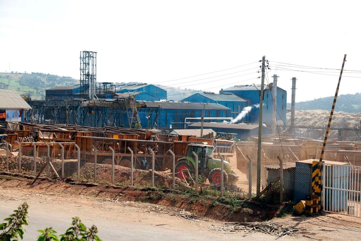 Transmara Sugar gets reprieve in Sh1.8bn tax relief claim case ...