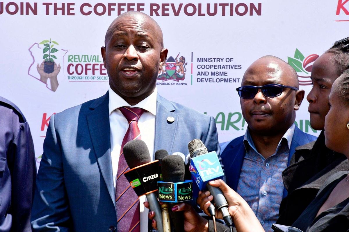 25, 000 saccos risk closure over missing audit reports - Business Daily