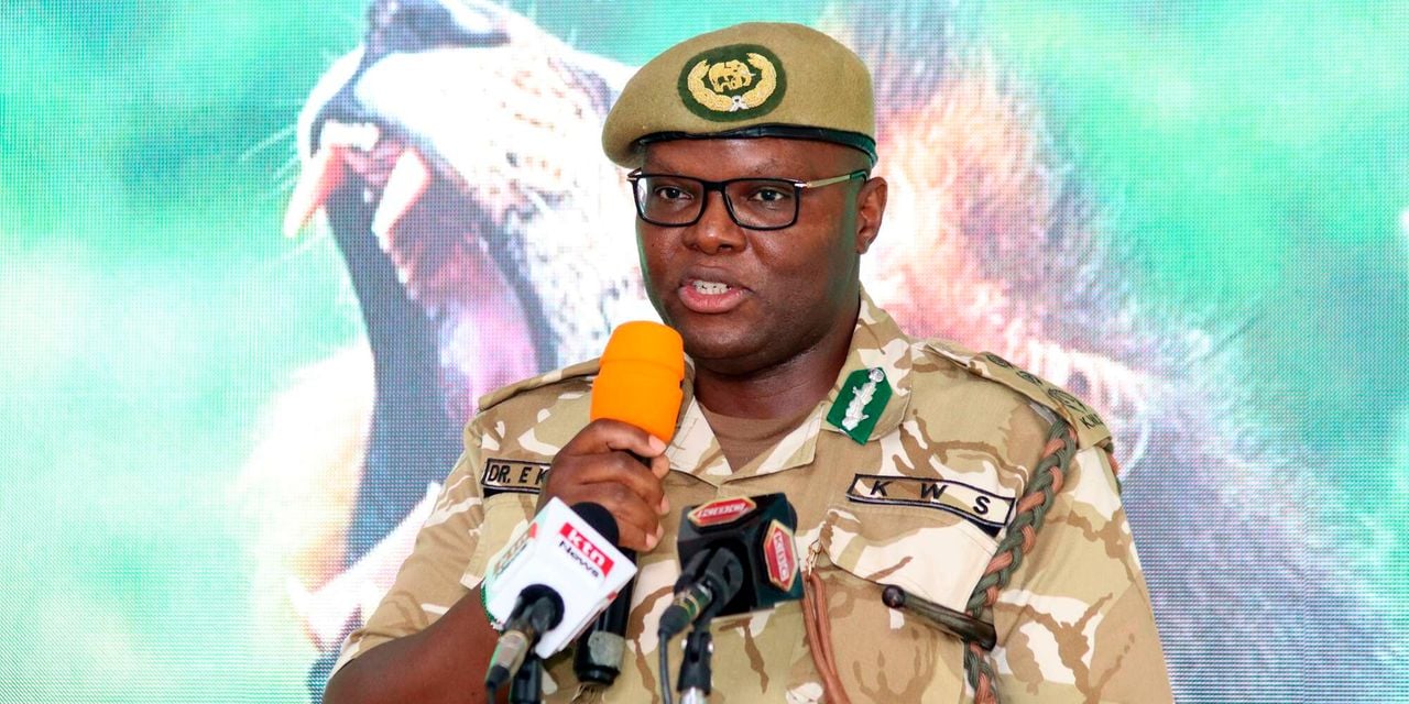 Illegal KWS cancellation of insurance tender voided - Business Daily